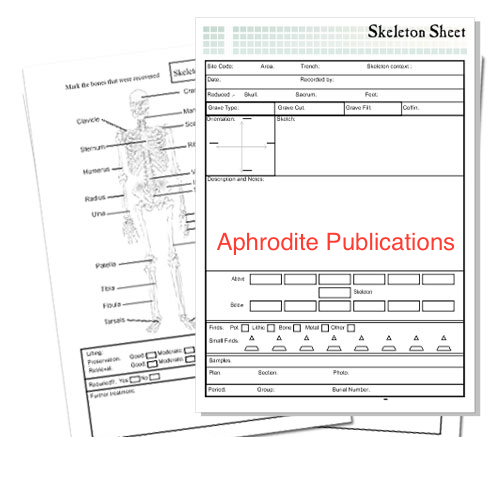 Life Size 160cm Skeleton (with Skeleton Recording Sheets) – Aphrodite ...